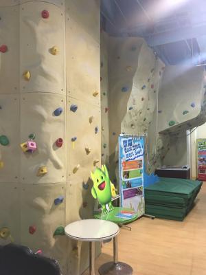 China Adjustable Plastic Playground Rock Wall 12m Height Eco Friendly for sale