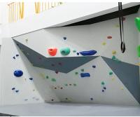 China Plywood Indoor Rock Climbing Panels Artificial Design With Auto Belay System for sale