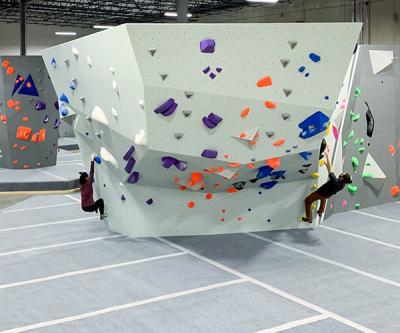 China Plywood Indoor Rock Climbing Panels Artificial Design With Auto Belay System for sale