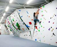 China Plywood Indoor Rock Climbing Panels Artificial Design With Auto Belay System for sale