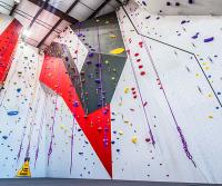 China Plywood Indoor Rock Climbing Panels Artificial Design With Auto Belay System for sale