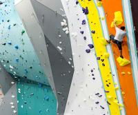 China Plywood Indoor Rock Climbing Panels Artificial Design With Auto Belay System for sale