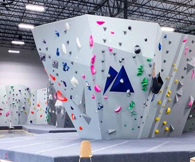 China Reinforced Indoor Climbing Wall Panels , Plastic Rock Wall For Swing Set for sale