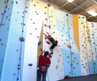 China Reinforced Indoor Climbing Wall Panels , Plastic Rock Wall For Swing Set for sale
