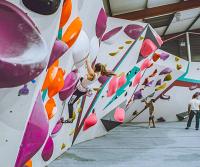 China Reinforced Indoor Climbing Wall Panels , Plastic Rock Wall For Swing Set for sale