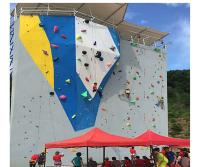 China Anticorrosion Backyard Rock Climbing Wall OEM Design For Amusement Park for sale