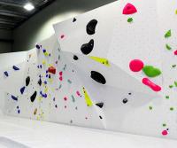 China Indoor Climbing Wall For Adults Reinforced Fiberglass Material for sale