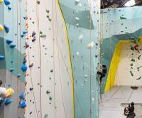 China Indoor Climbing Wall For Adults Reinforced Fiberglass Material for sale