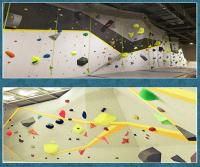 China ODM Rock Climbing Wall Playground Equipment , Climbing Wall For Kids for sale
