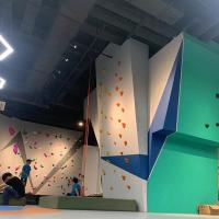 China Steel Frame Rock Climbing Wall For Adults Artificial Corrosion Resistant for sale