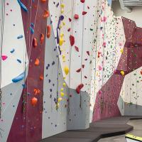 China Artificial Auto Belay Climbing Wall Resin Material For Amusement Park for sale