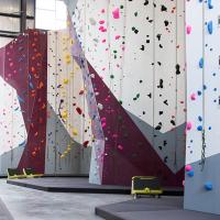 China Artificial Auto Belay Climbing Wall Resin Material For Amusement Park for sale