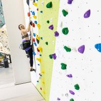 China playroom rock climbing wall , Steel Frame Climbing Wall With Fiberglass Panel for sale