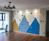 China playroom rock climbing wall , Steel Frame Climbing Wall With Fiberglass Panel for sale