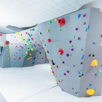China Multicolor Indoor Climbing Wall For Adults Adjustable ISO9001 Approved for sale