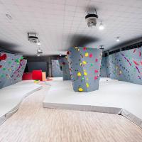 China Multicolor Indoor Climbing Wall For Adults Adjustable ISO9001 Approved for sale