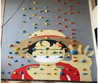China Resin Indoor Climbing Wall Panels Anticorrosion 	Hot Galvanized Steel Frame for sale