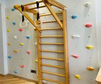 China Mixed Color Wooden Rock Climbing Wall Plywood Material Auto Belay System for sale