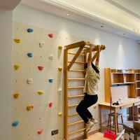 China Mixed Color Wooden Rock Climbing Wall Plywood Material Auto Belay System for sale