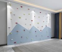 China Commercial Playground Rock Climbing Wall ODM Available Reinforced Material for sale