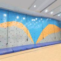 China Commercial Playground Rock Climbing Wall ODM Available Reinforced Material for sale
