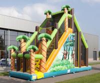 China Playground Kids Inflatable Bouncer , OEM Inflatable Slide And Bounce House for sale