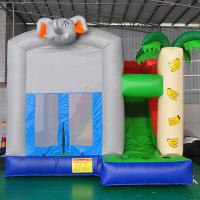 China Small Bouncy Castle With Slide PVC Material Digital Printed Waterproof for sale