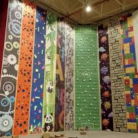 China PVC Plastic Rock Climbing Wall Multicolor For Indoor Play Center for sale