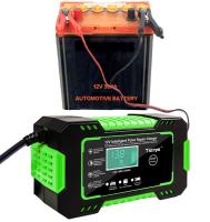 China Portable AGM GEL Battery Pulse Repair Charger 12V for sale