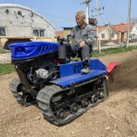 China Agriculture Crawler Mini Tractor 25Hp 35Hp With Rubber Tracks for sale