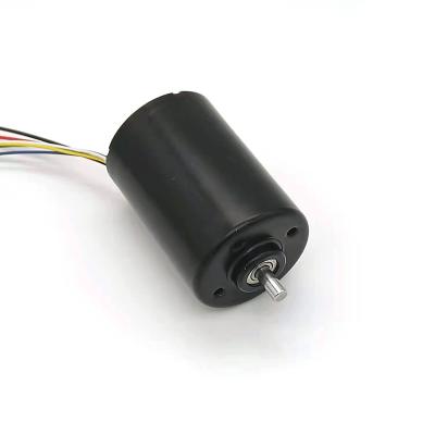 China Faradyi Customized BL4260  High Speed 12V Long Life Electric Brushless DC Motor With Terminals for Massager for sale