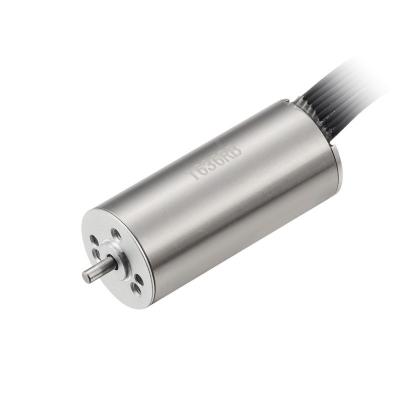 China Faradyi Hollow Cup Motor High Speed Silent 12V 16mm Mini Brushless Coreless Electric Motor for Coreless High Precision Motor for sale