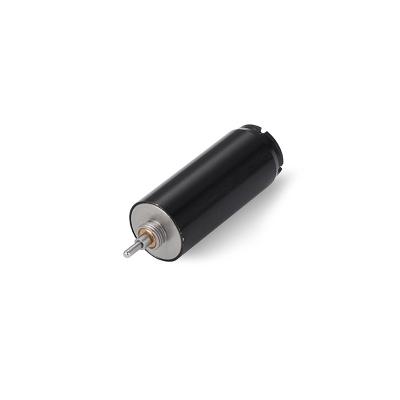 China Faradyi Hot-sale High Speed 1020 Coreless Motor 12V Low Noise High Torque Brushed Coreless Motor For Printer Camera for sale