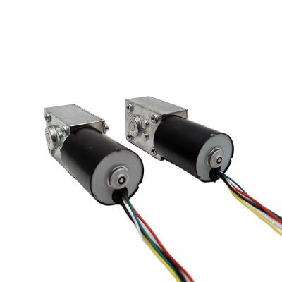 China Faradyi Customized High Quality High Torque Low Rpm 12v Dc Geared Motor For Car And Caravan Mover for sale