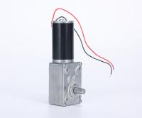 China Faradyi Custom 12v 24v  Electric Vehicle Brushless Bldc Micro Worm Gear DC Motor for Treadmill Motorcycle for sale