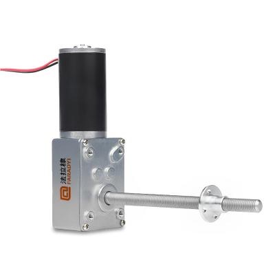 China Faradyi Hot Sale 12V 24V High Torque Dual Shaft Customized Shaft Long Lifespan DC Worm Gear Motor With Encoder for sale