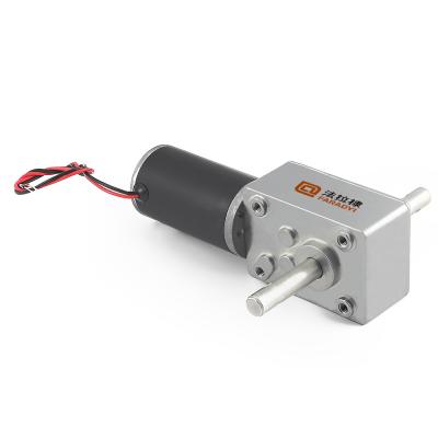 China Faradyi 5840 24v Dc Worm Gear Motor 80kg.cm 12V Right Angle Gearbox Reduction Motor Brush Double Output Shaft Motor for sale