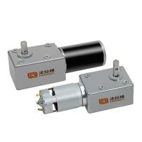 China Faradyi Customized FR12 High Quality 12V 16RPM Brushless Dc Worm Gear Stepper Motor Self-lock Gearbox Cw/Ccw for sale
