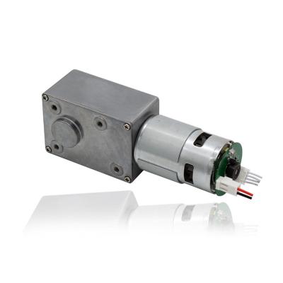 China Factory High Torque Direct Sale Double Shaft Electric 12V 24V 775 Brushed Dc Motor For Power Tools for sale