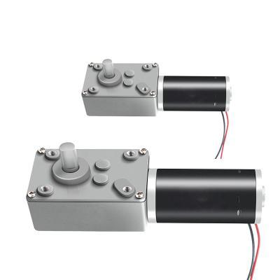 China Faradyi Customized Long Life Worm Gear Motor 12v 24v Low Rpm Shaft Geared Electric Brush Brushless DC Motor For Machine Tools for sale