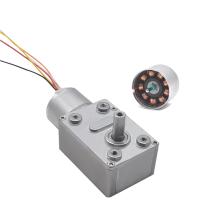 China Faradyi Customized Robot Dc Brushless 12v Worm Gear Speed Reduction Motor Worm Rc Brushless  Drone Motor for sale