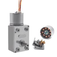 China Faradyi High quality 12V DC Motor Low Speed High Torque Brushless Geared Motor for Smart Door Lock for sale