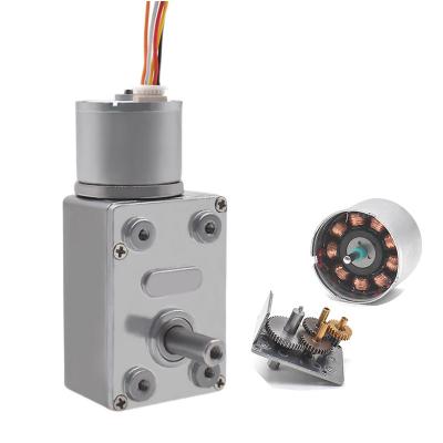 China Faradyi High quality 12V DC Motor Low Speed High Torque Brushless Geared Motor for Smart Door Lock for sale