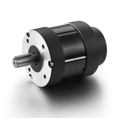 China Faradyi Customized 60v 4kw 72v 5kw 72v 7.5kw Brushless Dc Motor For Electric Vehicle Boat for sale
