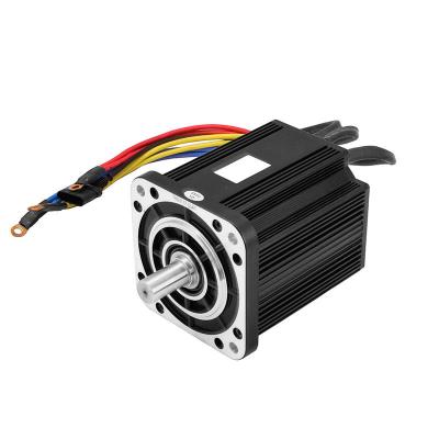 China Faradyi Customized Electric 2000RPM maquina de coser direct drive servo motor for sewing machine with Driver for sale
