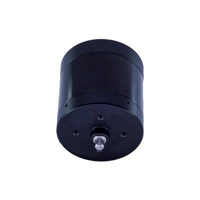 China Faradyi Customized Factory Price Hot Selling High Protection Grade Ip68 Brushless Waterproof Dc Motor for sale