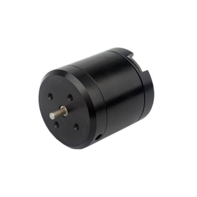 China Faradyi Customized Hot Sales IP67 IP68 Protection Level 12-72V Waterproof Dc Brushless Motor For Hub Motor for sale