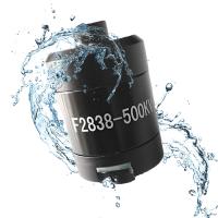 China Faradyi DC Tubular Brushless Underwater Motor Customized F2838 Waterproof 12V 24V 48V Custom Brushless Motor for Drone IE 1 for sale
