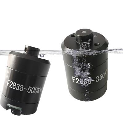 China Faradyi Customized F2838 12V 24V 48V Waterproof DC Tubular BLDC Underwater Motor With Propeller For Electric Boat Surfboard for sale