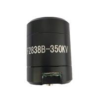 China Faradyi High Quality 2838 Series IP68  DC Brushless Motor Waterproof Motor With Epoxy Coating for sale
